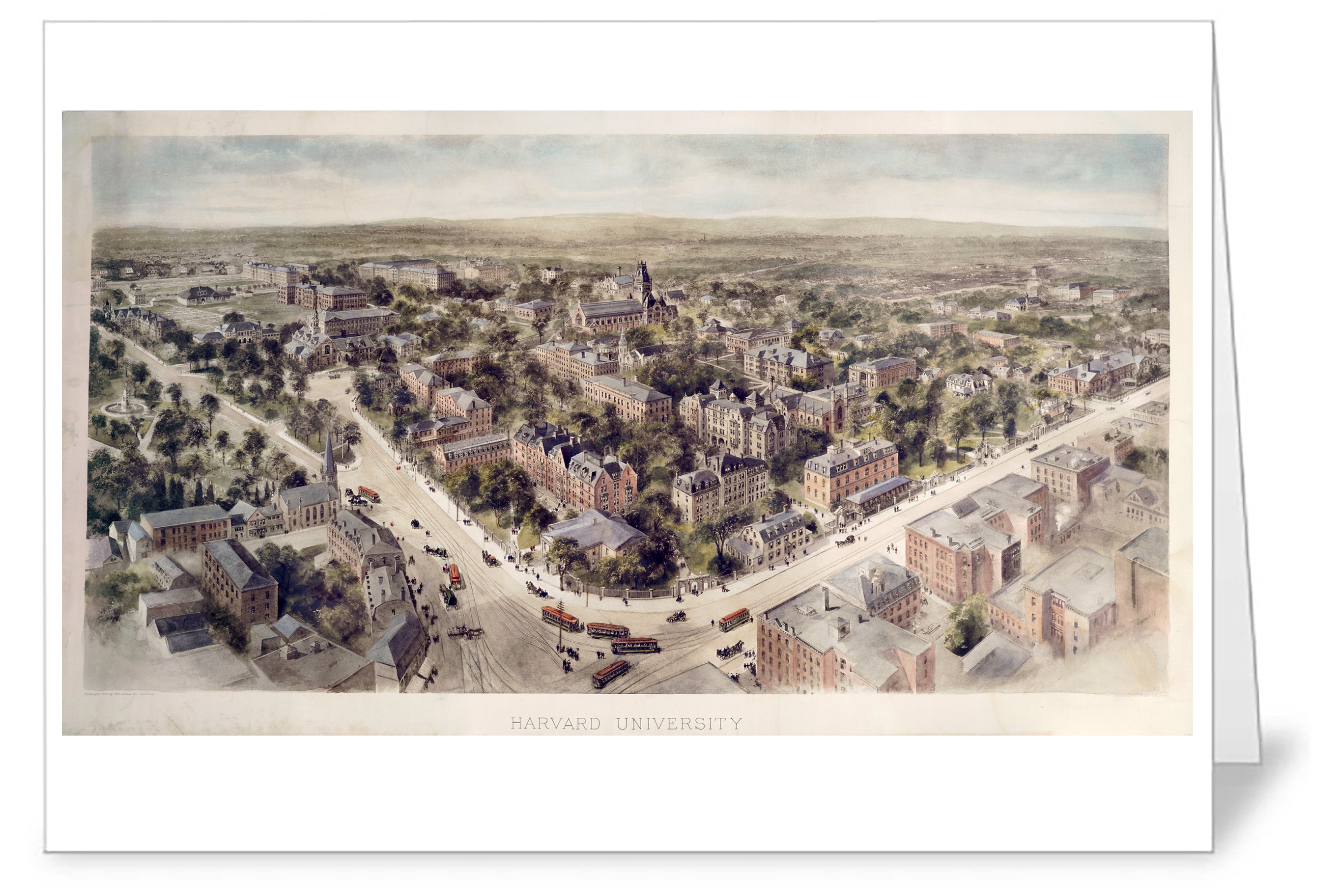 Harvard University, Cambridge, Massachusetts 1906 View Greeting Card ...