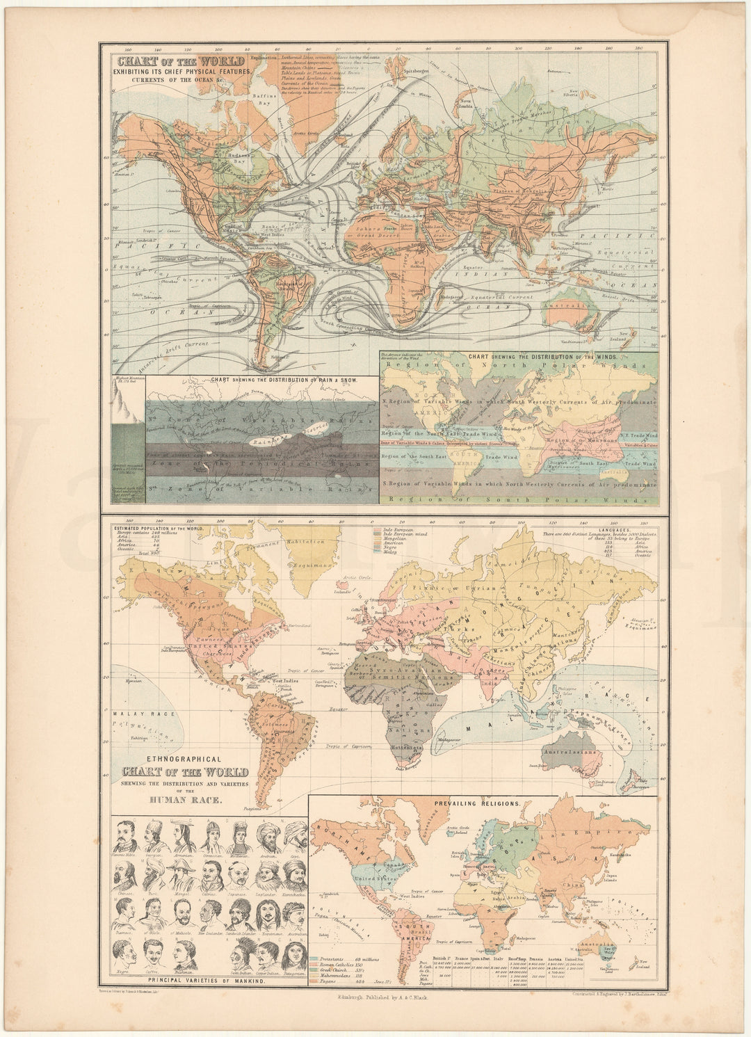 World 1857: Physical, Ocean Currents, and Ethnographic – WardMaps LLC