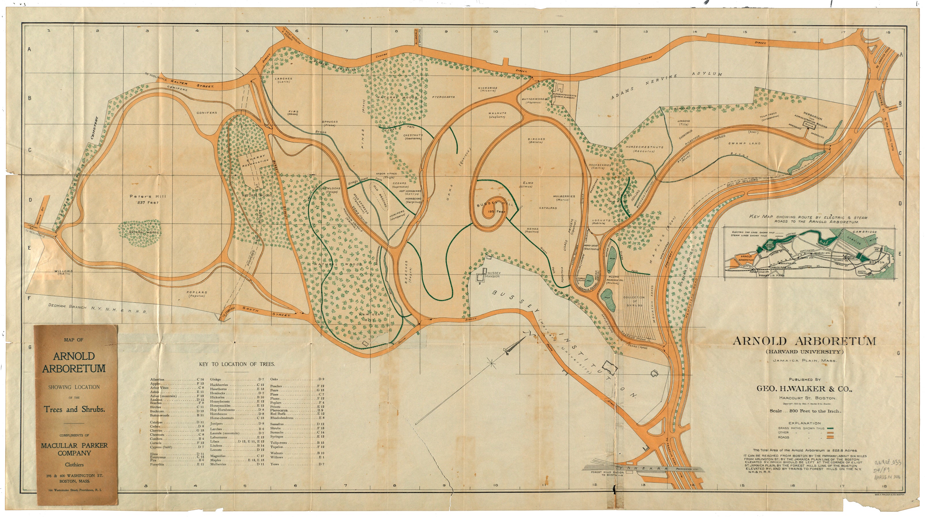 Arnold Arboretum, Boston circa 1900 – WardMaps LLC