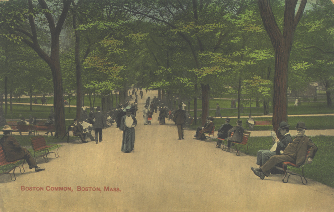 Boston Common, Boston, Massachusetts 17 – WardMaps LLC