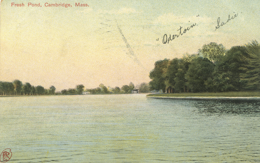 Fresh Pond, Cambridge, Massachusetts 01 – WardMaps LLC