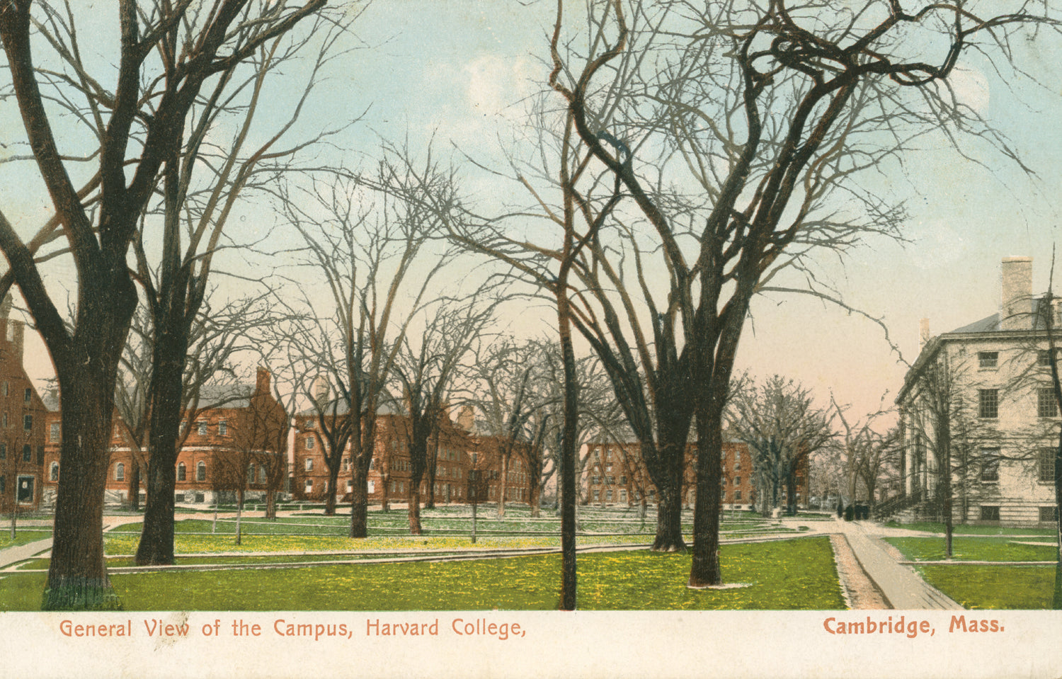 Harvard University, Cambridge, Massachusetts: The Yard 01 – WardMaps LLC