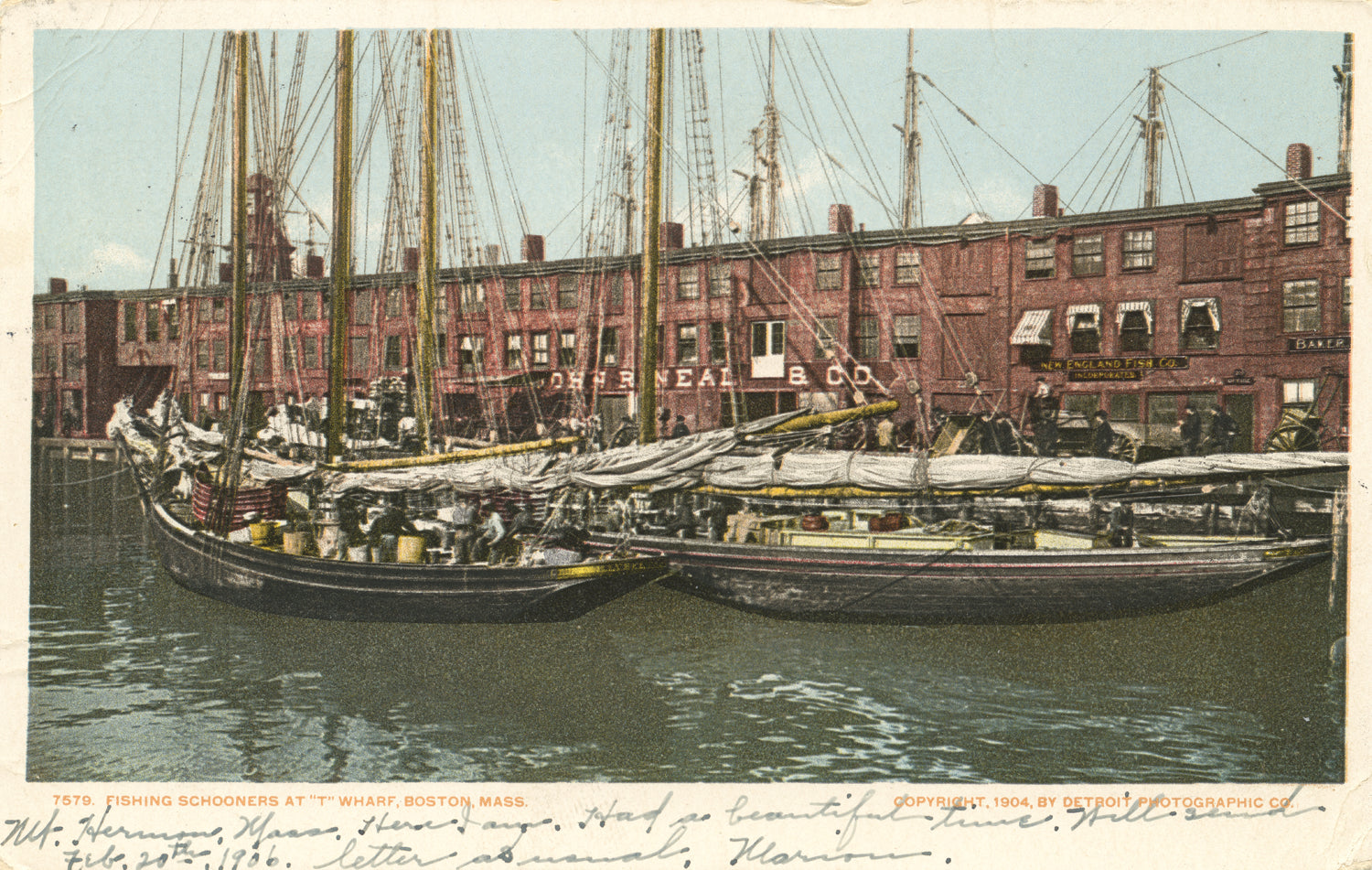 T Wharf, Boston, Massachusetts 11 – WardMaps LLC