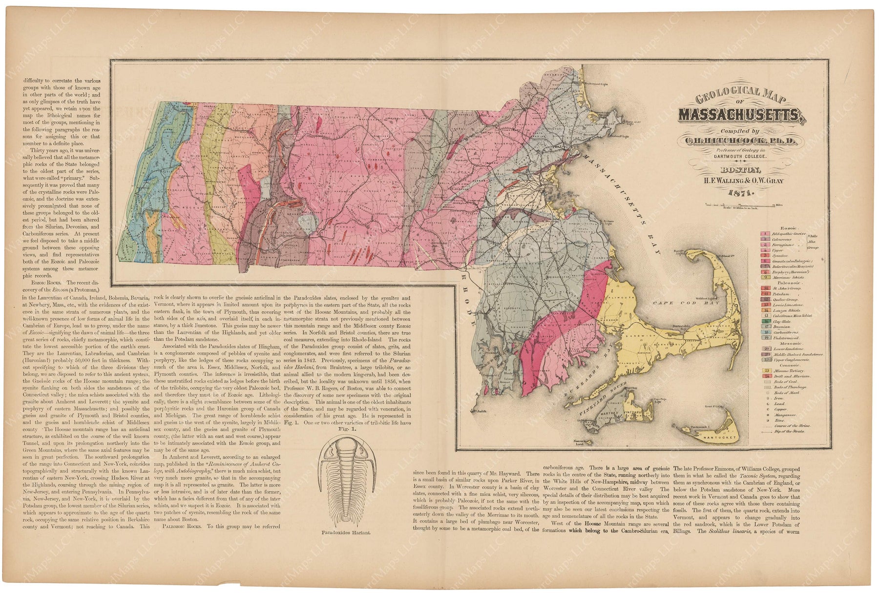 Geological Map of Massachusetts 1871 – WardMaps LLC