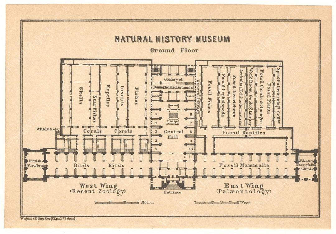 London, England 1930: Natural History Museum – WardMaps LLC