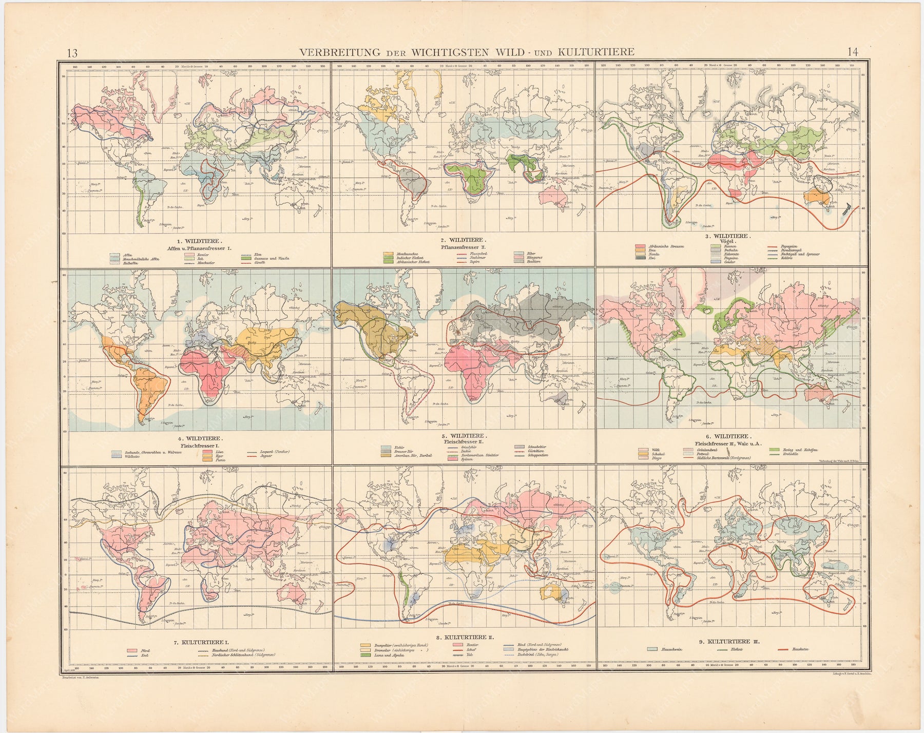 World 1899: Wildlife and Culture – WardMaps LLC