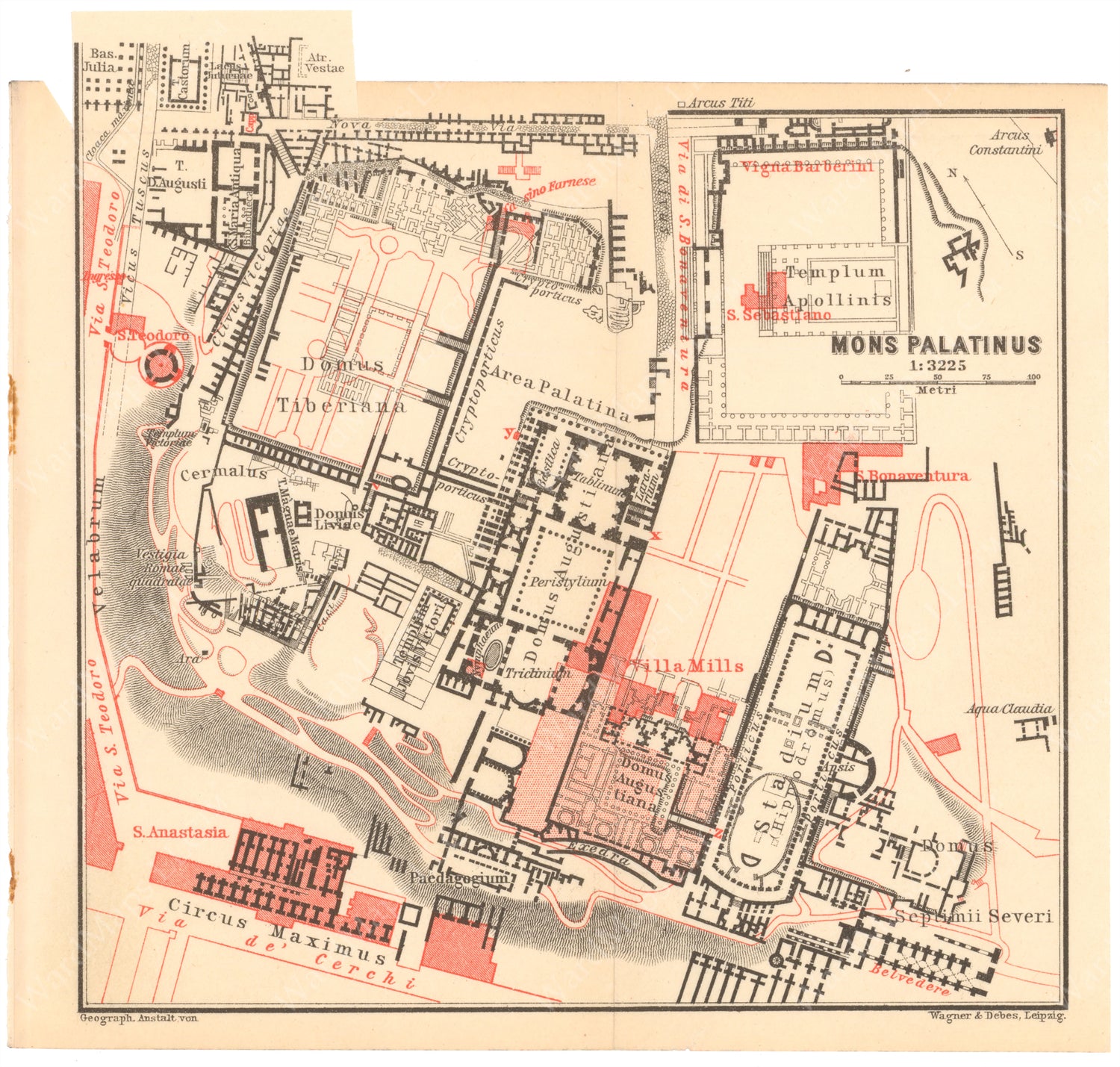 Rome, Italy 1909: Palatine Hill – WardMaps LLC