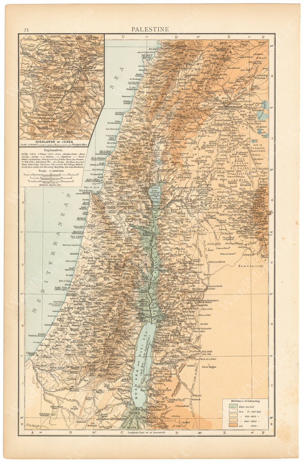 Palestine 1895 – WardMaps LLC